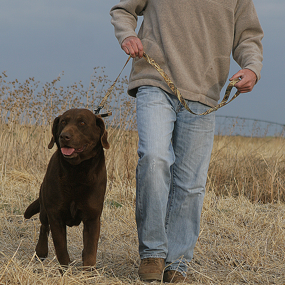 How Long Is A Standard Dog Lead