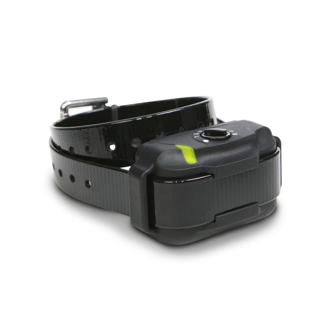 Dogtra, Electric Fence, EF-3500 Additional Receiver by Dogtra Company