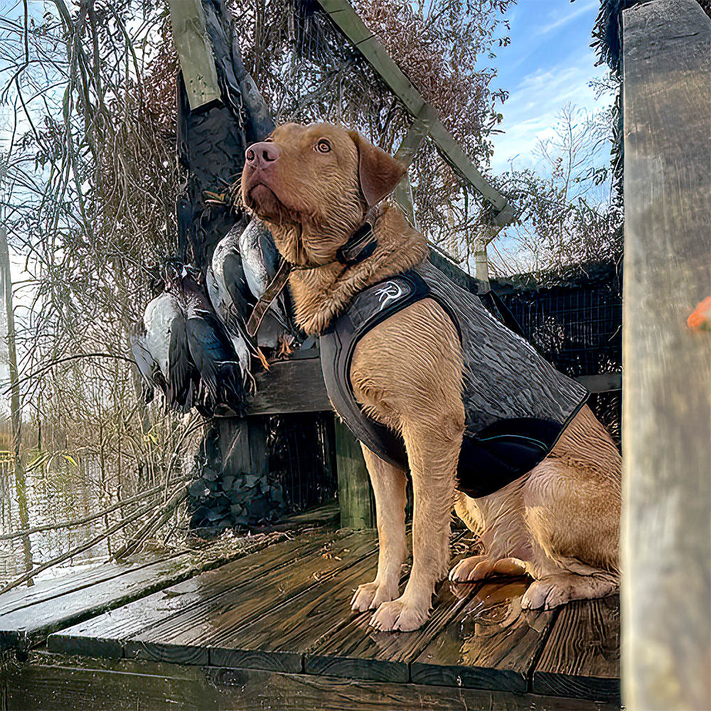 ReKoile, Upland Sure Fit Dog Vest, Bottomland Camo by ReKoile Outdoors