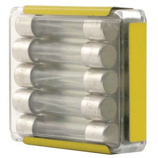 30 AMP Slow Blow Fuse 5 Pack